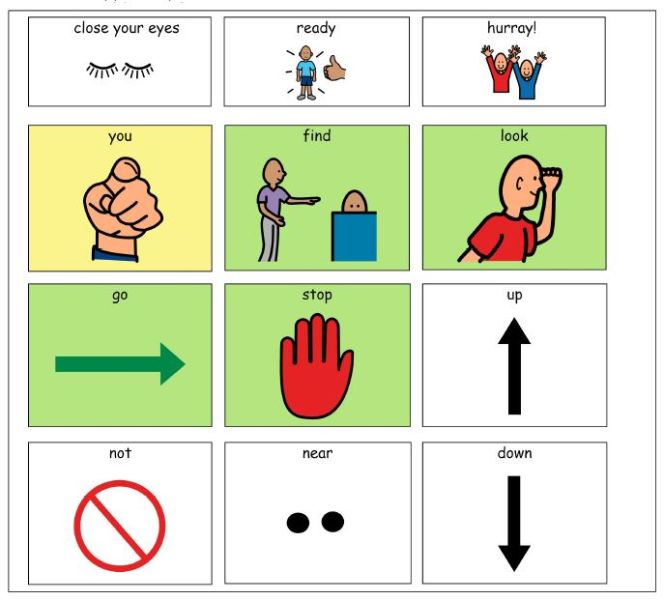 Struggling to include learners and develop AAC in school?